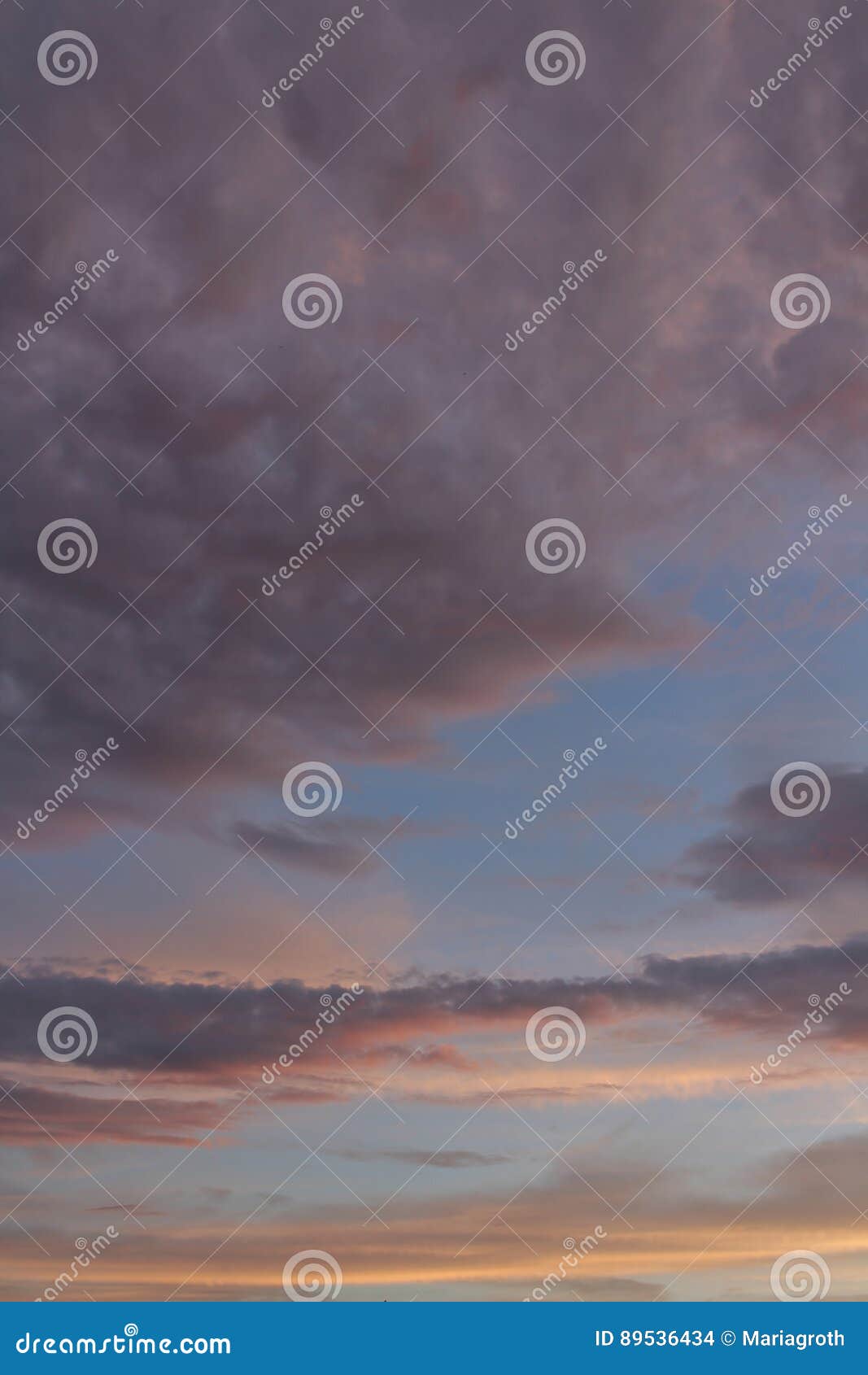 July evening stock photo. Image of purple, bank, gold - 89536434