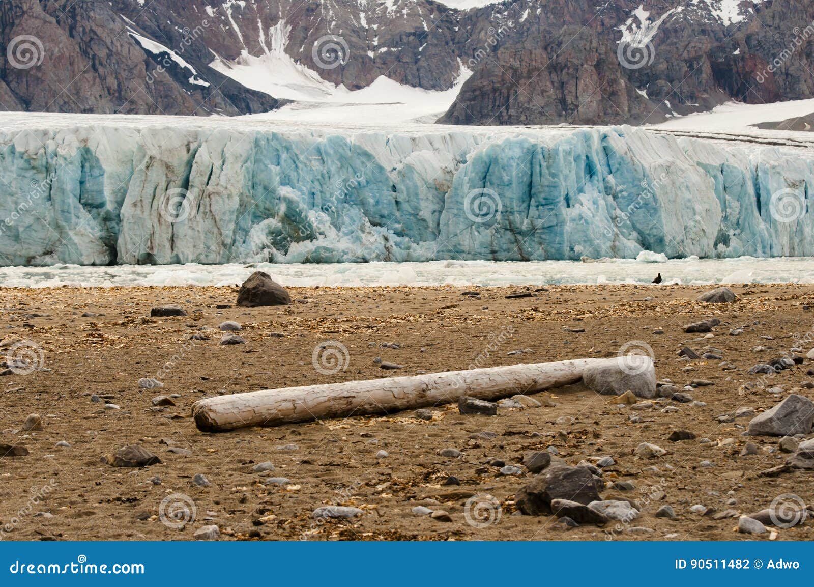 July 14 Glacier - Spitsbergen - Svalbard Stock Photo - Image of floe ...
