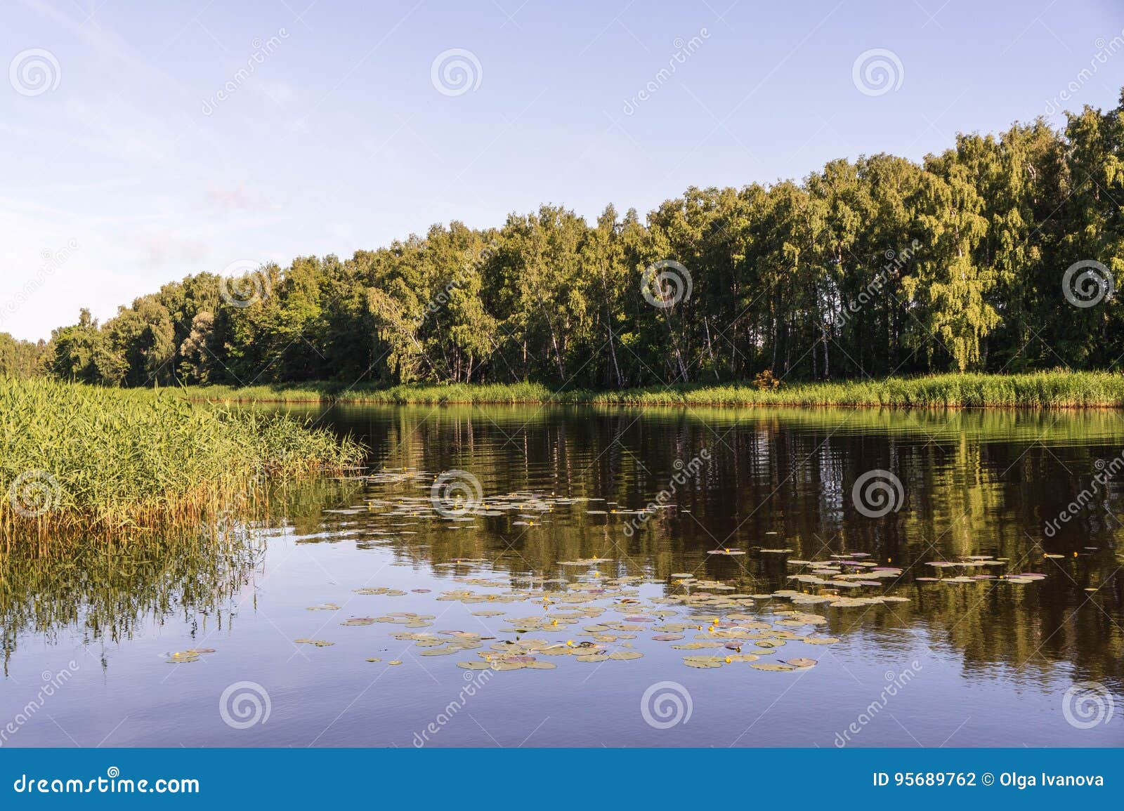 July morning by the river stock photo. Image of sunny - 95689762