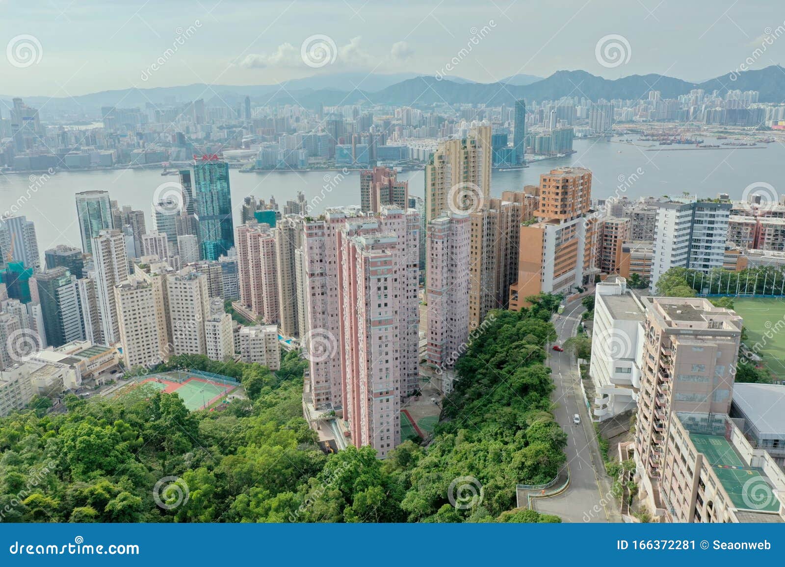 27 July 2019 North Point, Hong Kong Editorial Photo - Image of bird ...