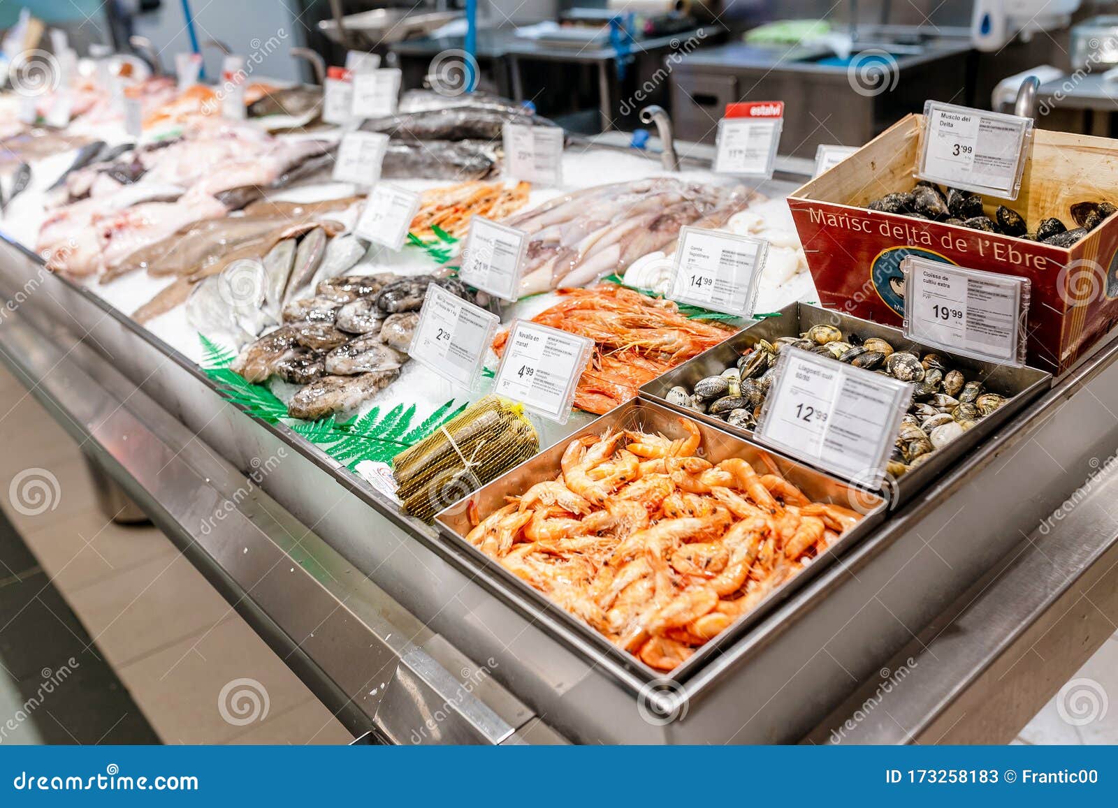 Various Fresh Delicious Seafood on Display Editorial Stock Photo ...