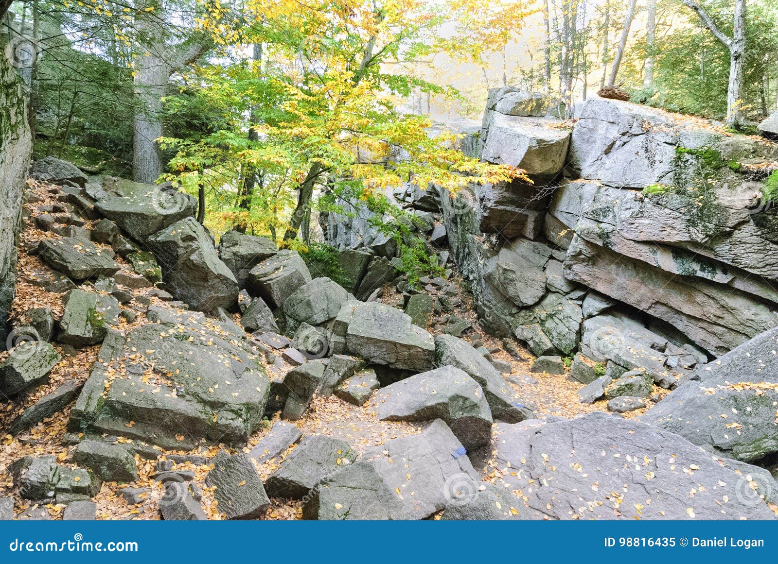 Jumble of granite stock image. Image of forest, hillside - 98816435