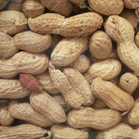 Jumbo Raw Peanuts stock image. Image of pattern, organic - 127232641