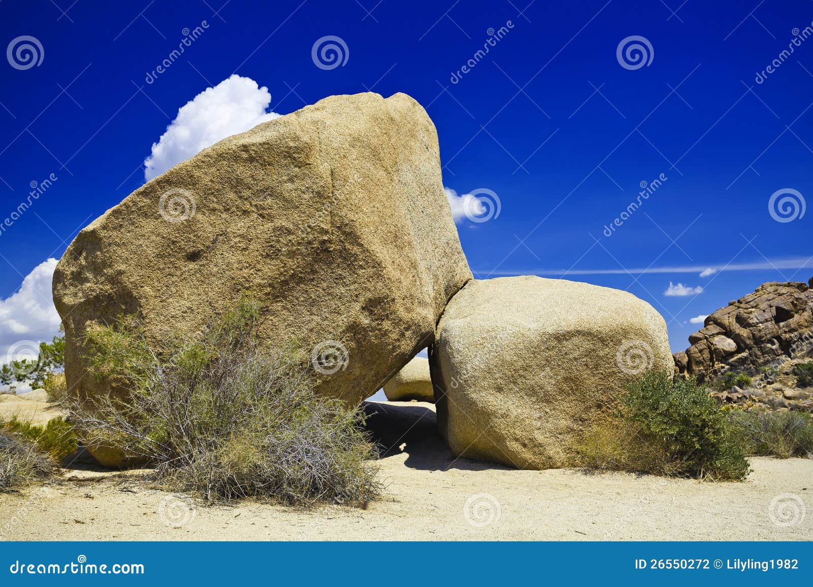 Jumbo rocks stock photo. Image of tree, landscape, jumbo - 26550272