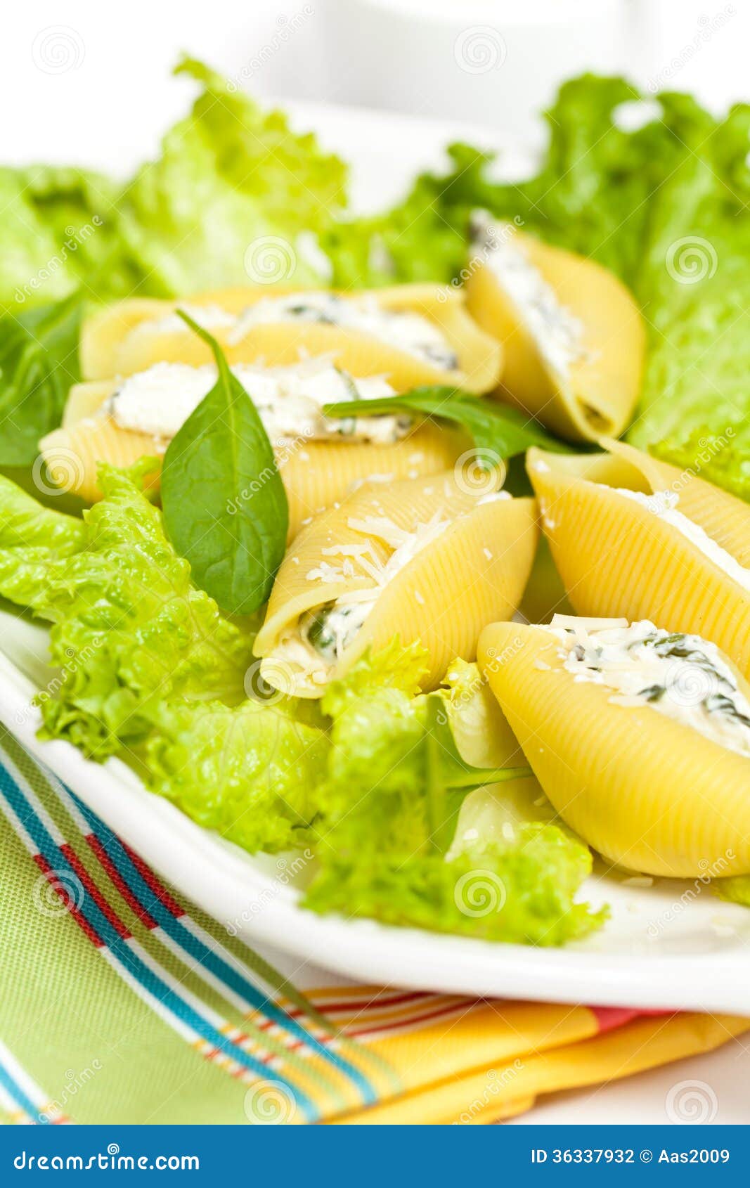 Jumbo Shells pasta stock photo. Image of jumbo, basil - 36337932