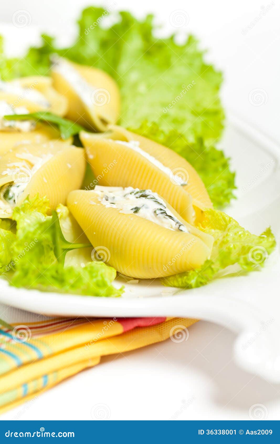 Jumbo Shells pasta stock image. Image of ricotta, healthy - 36338001