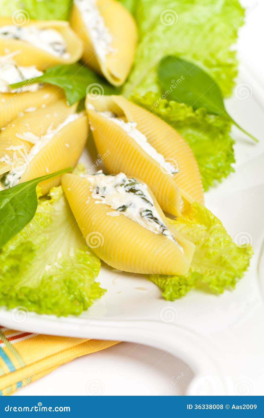 Jumbo Shells pasta stock photo. Image of shell, pasta - 36338008