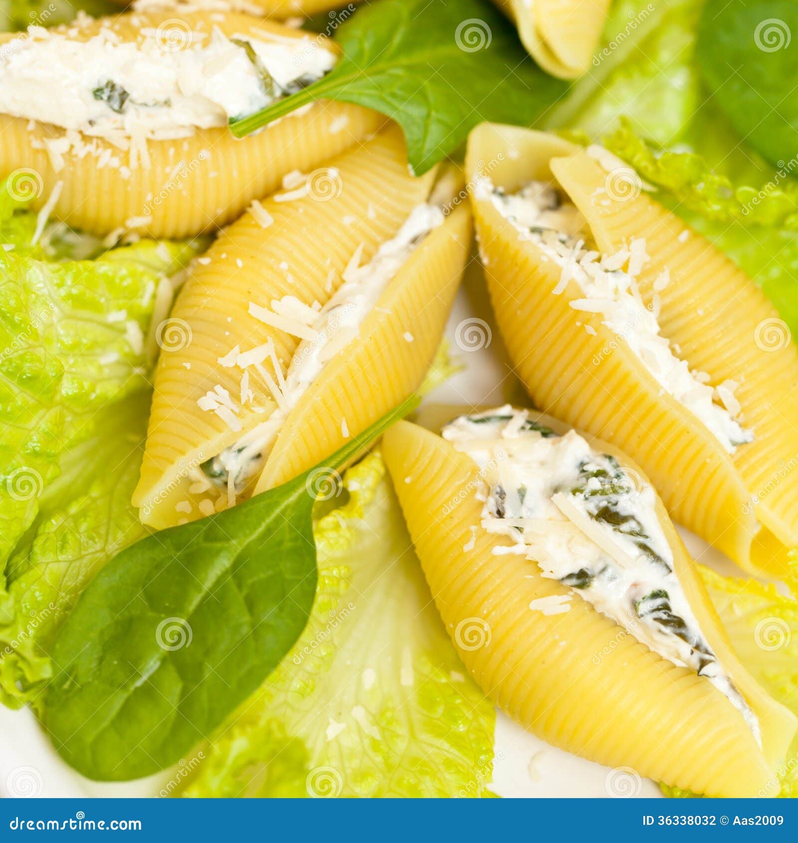 Jumbo Shells pasta stock photo. Image of sauce, organic - 36338032