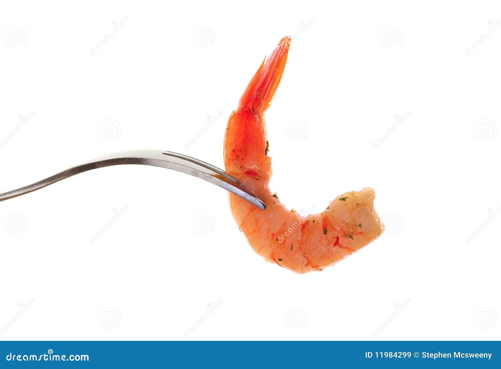 Jumbo Shrimp Oxymoron Stock Photography | CartoonDealer.com #134838380