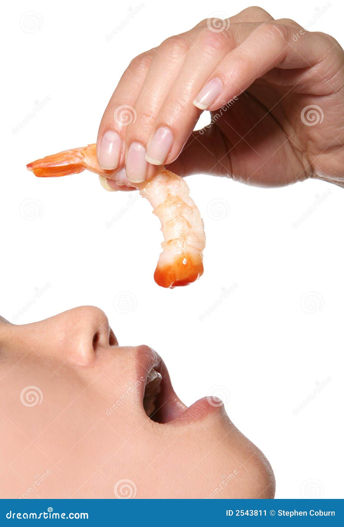Jumbo Shrimp Oxymoron Stock Photography | CartoonDealer.com #134838380
