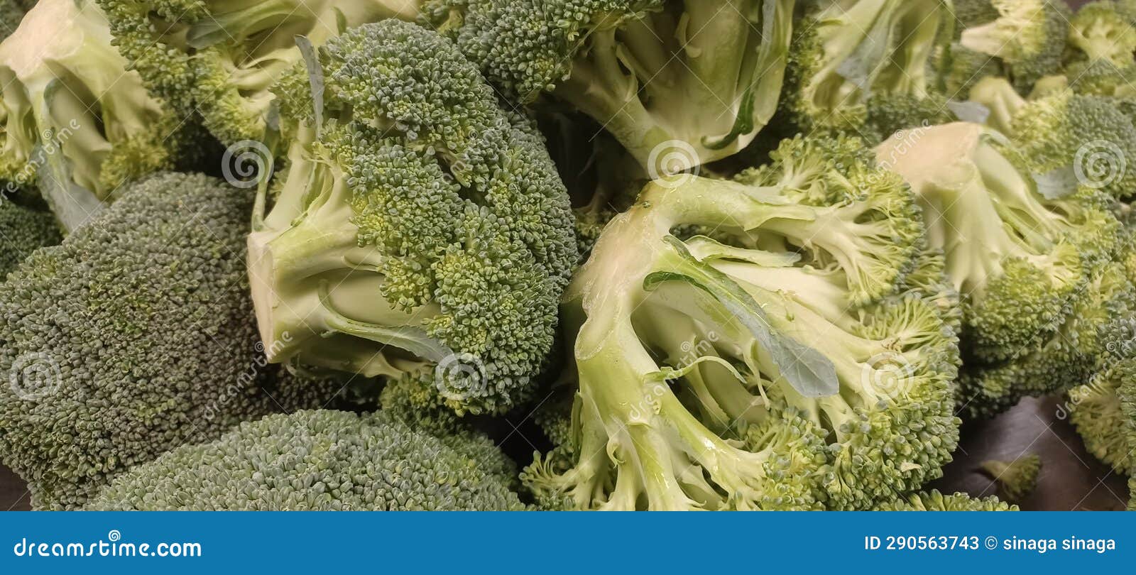 Jumbo size broccoli stock image. Image of broccoli, size - 290563743
