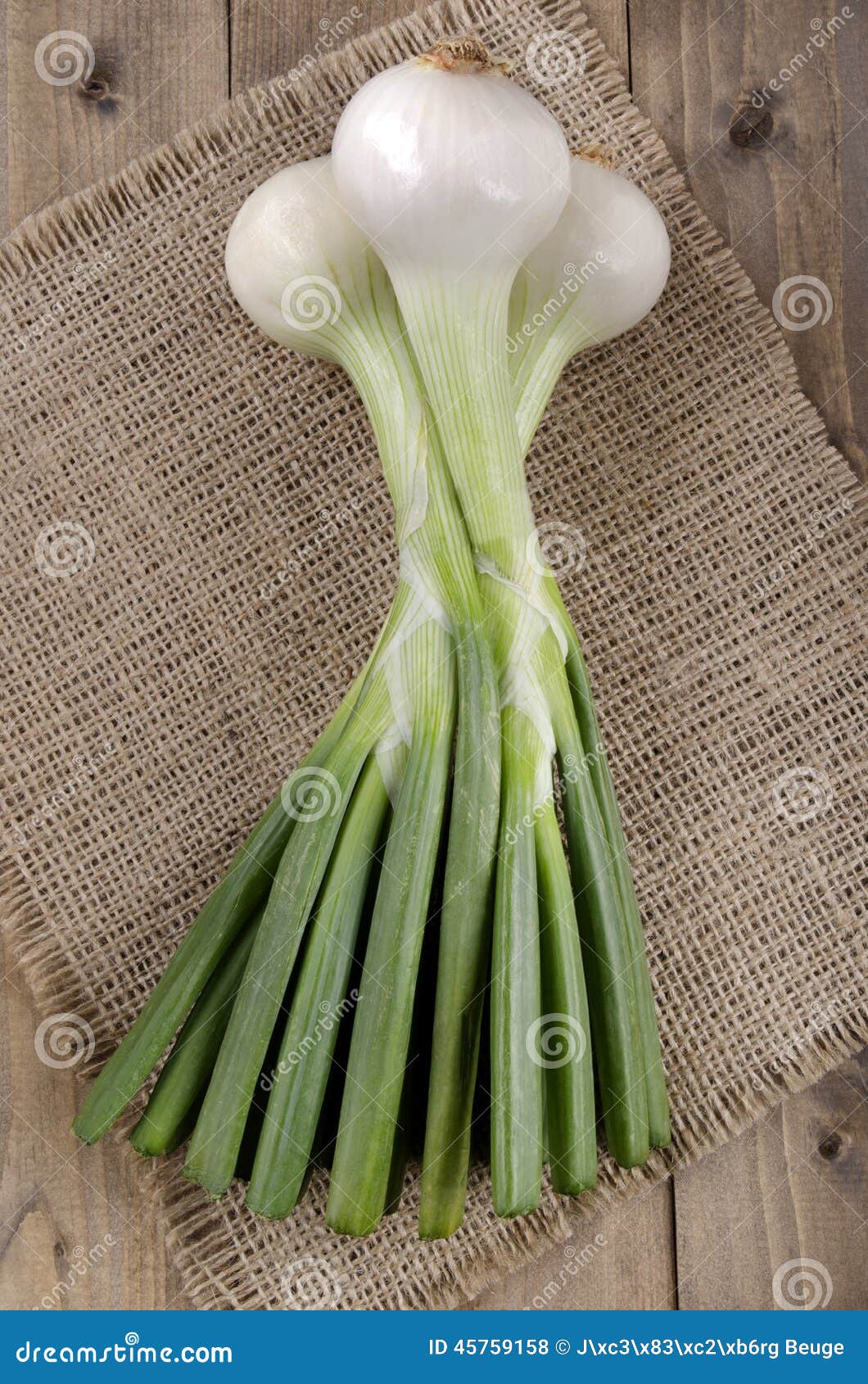 Jumbo Spring Onions on Brown Jute Stock Photo - Image of rustic ...