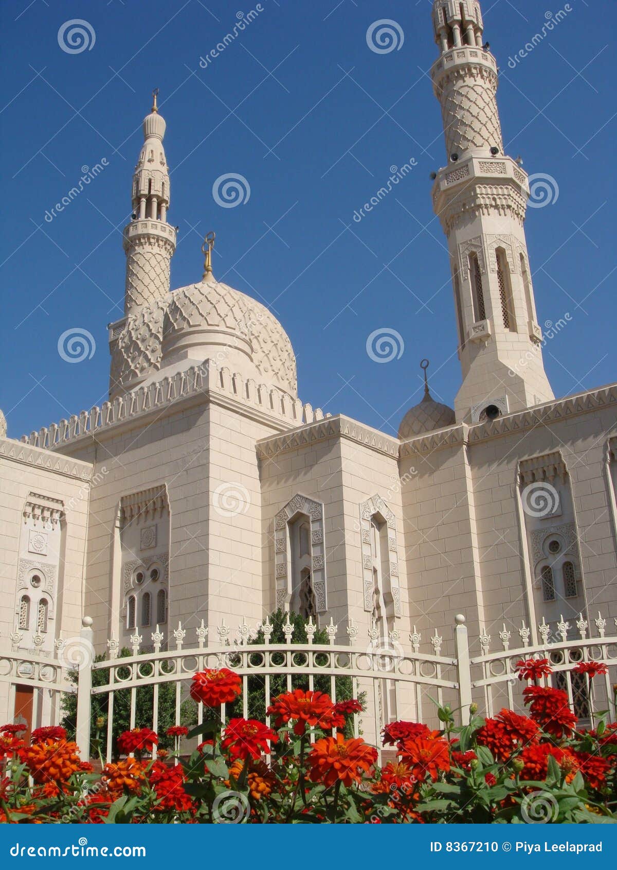 Jumeirah Mosque stock photo. Image of architecture, holy - 8367210