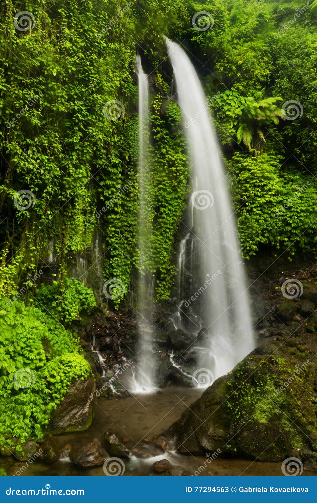 Jumog waterfall stock image. Image of landscape, forest - 77294563