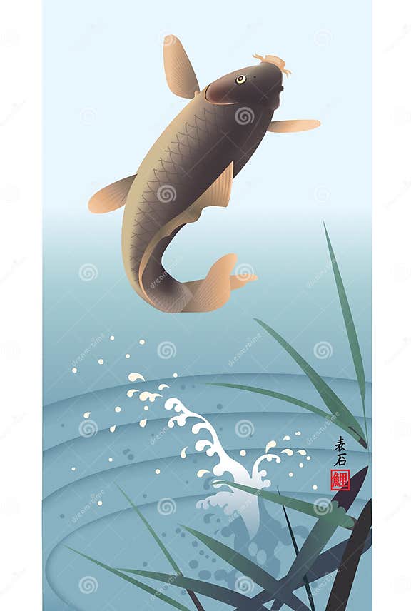 Jump of carp stock vector. Illustration of carp, river - 8018314