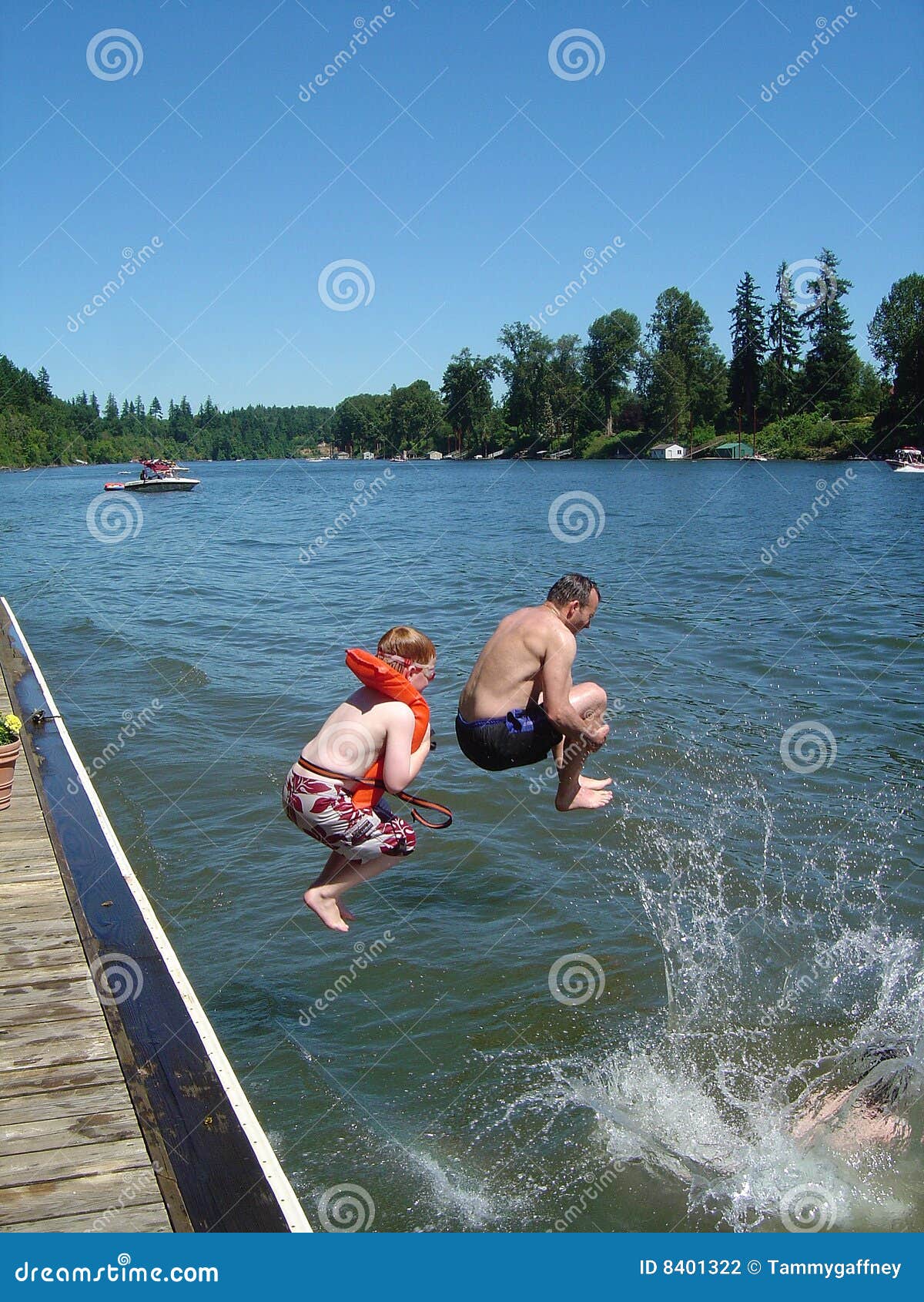 Jump from the dock stock photo. Image of lake, jumping - 8401322