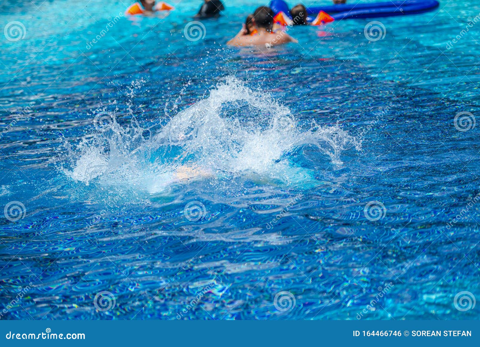 Jump in water in the pool stock photo. Image of diving - 164466746