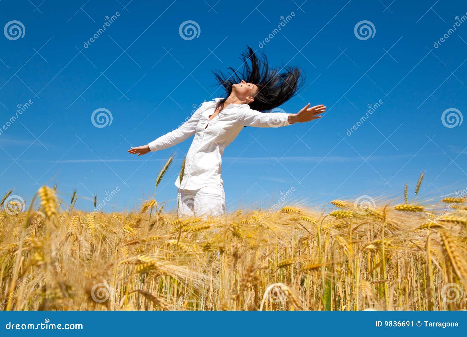 Jumping corn field stock image. Image of health, caucasian - 9836691