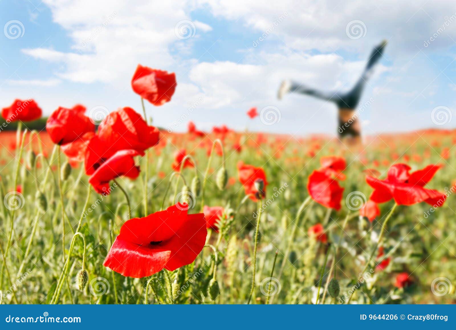 Jumping Girl in Poppy Field Stock Photo - Image of lifestyles, human ...