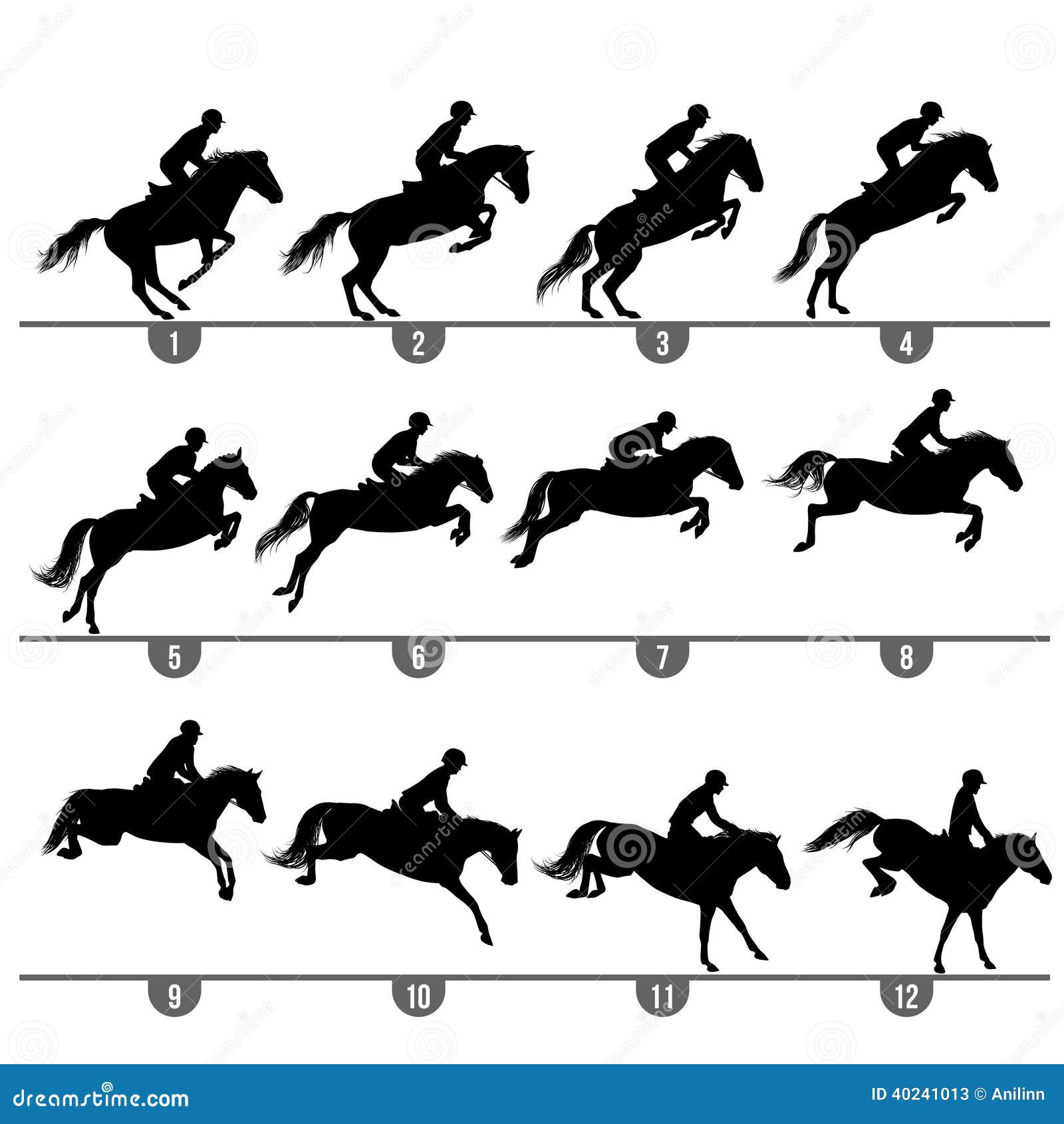 Jumping horse phases stock vector. Illustration of jockey - 40241013