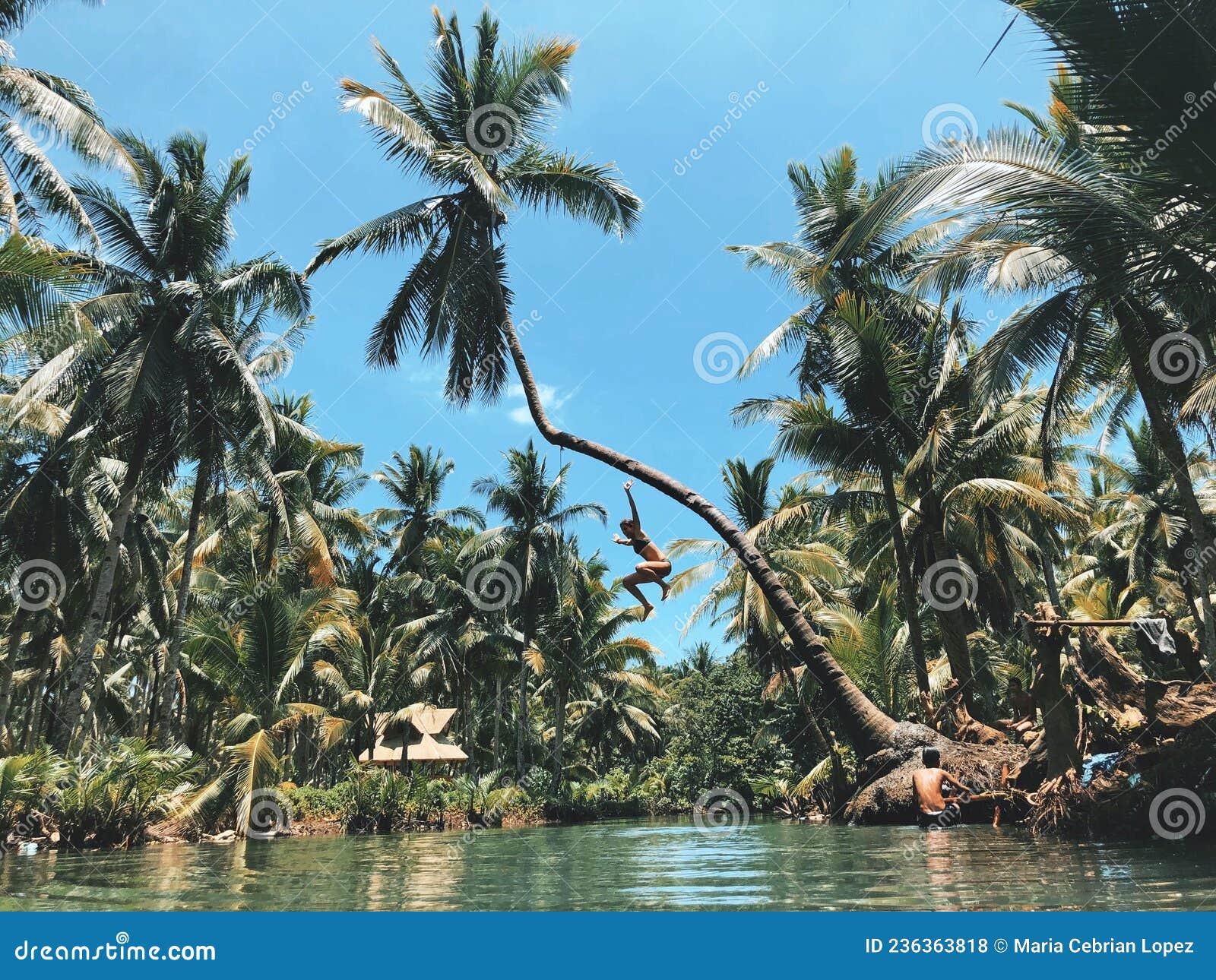 Jumping in the Jungle from a Palm Tree Stock Photo - Image of siargao ...