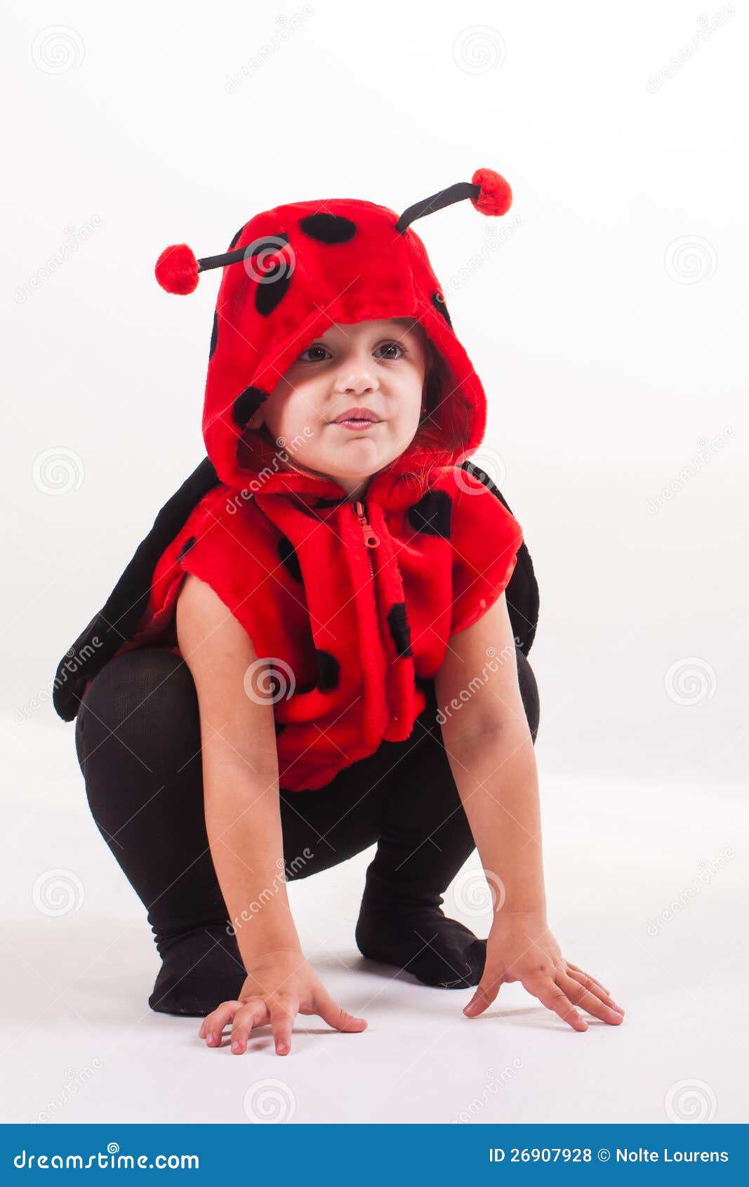 Jumping lady bug stock photo. Image of dots, beauty, girl - 26907928