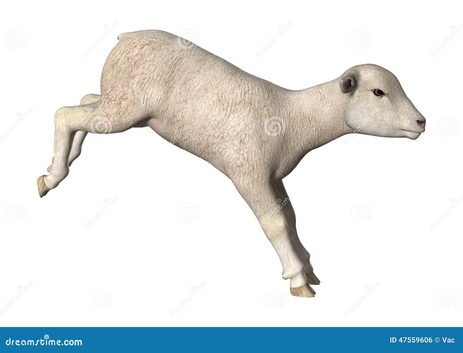 Jumping Lamb stock illustration. Illustration of agriculture - 47559606