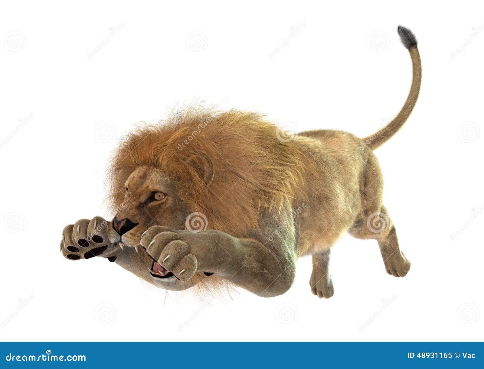 Jumping Lion stock image. Image of isolated, wildlife - 48931165