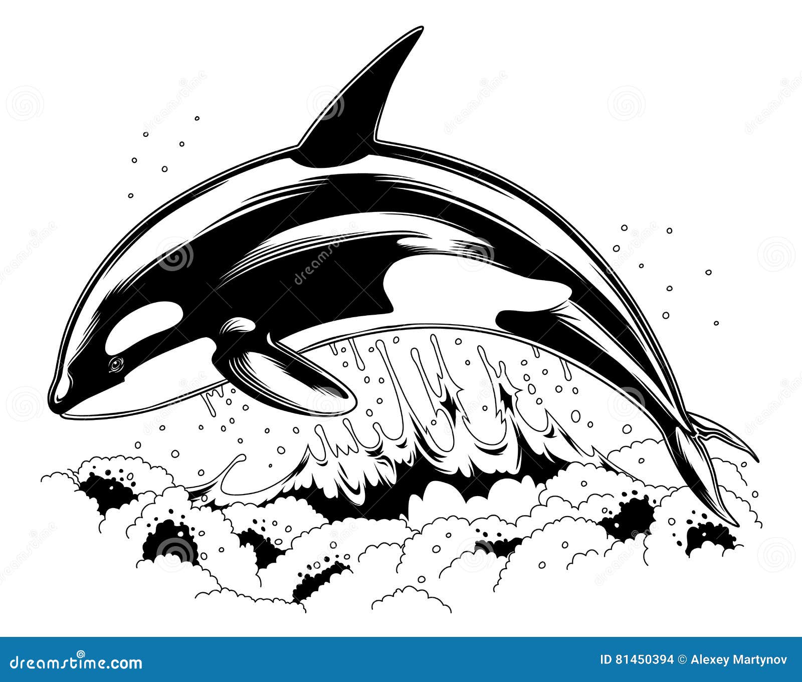 Jumping Orca Whale Stock Illustration | CartoonDealer.com #111997447