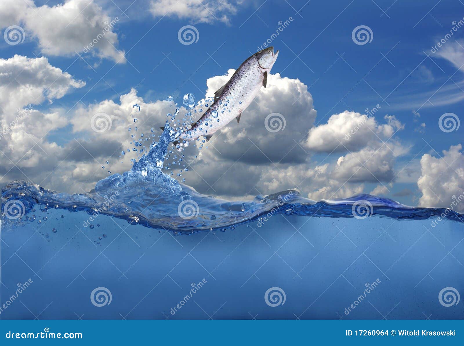 Salmon Jumping Upstream On A River Dam Stock Photo | CartoonDealer.com ...