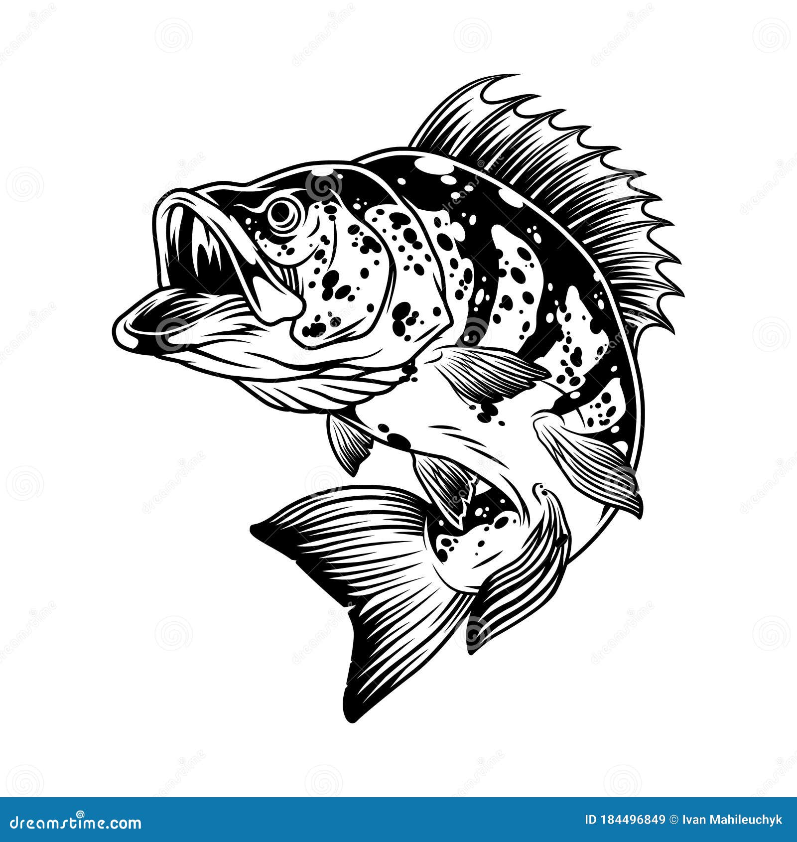 Jumping Perch Fish Monochrome Concept Stock Vector - Illustration of ...