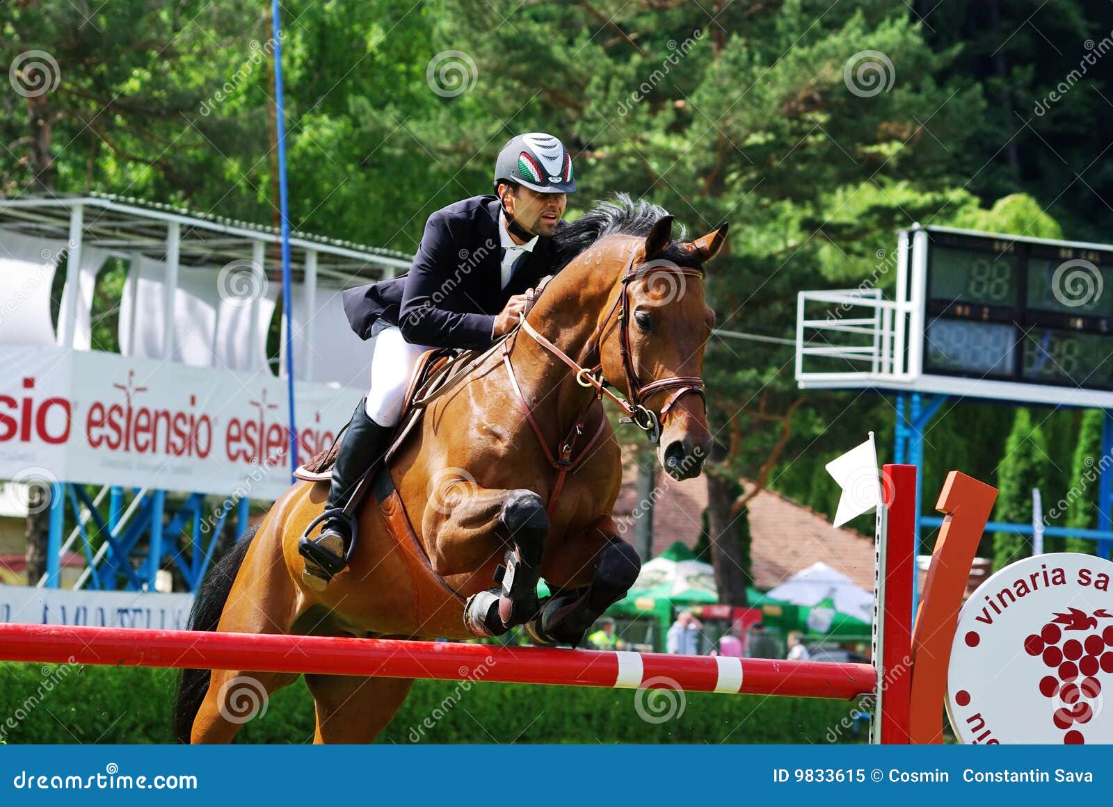 Jumping race horse editorial image. Image of bridles, competitors - 9833615
