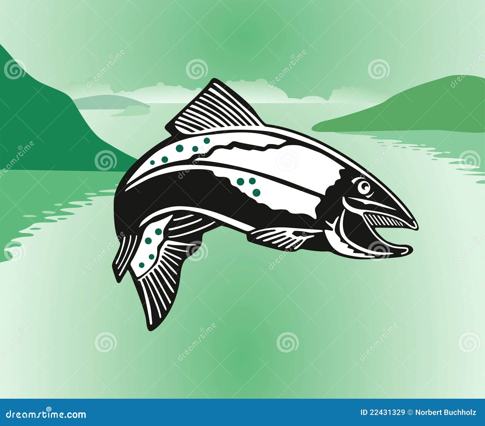Jumping salmon stock vector. Illustration of fishing - 22431329 Jumping salmon stock vector. Illustration of fishing - 22431329