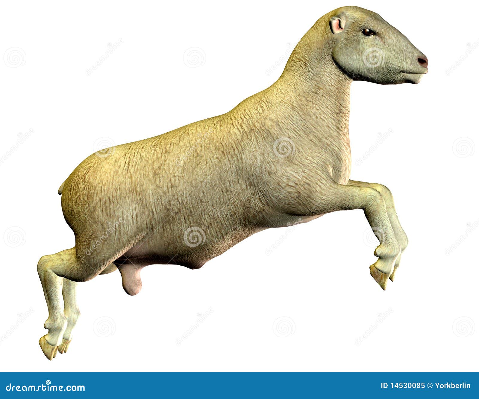 Jumping sheep stock illustration. Illustration of natural - 14530085