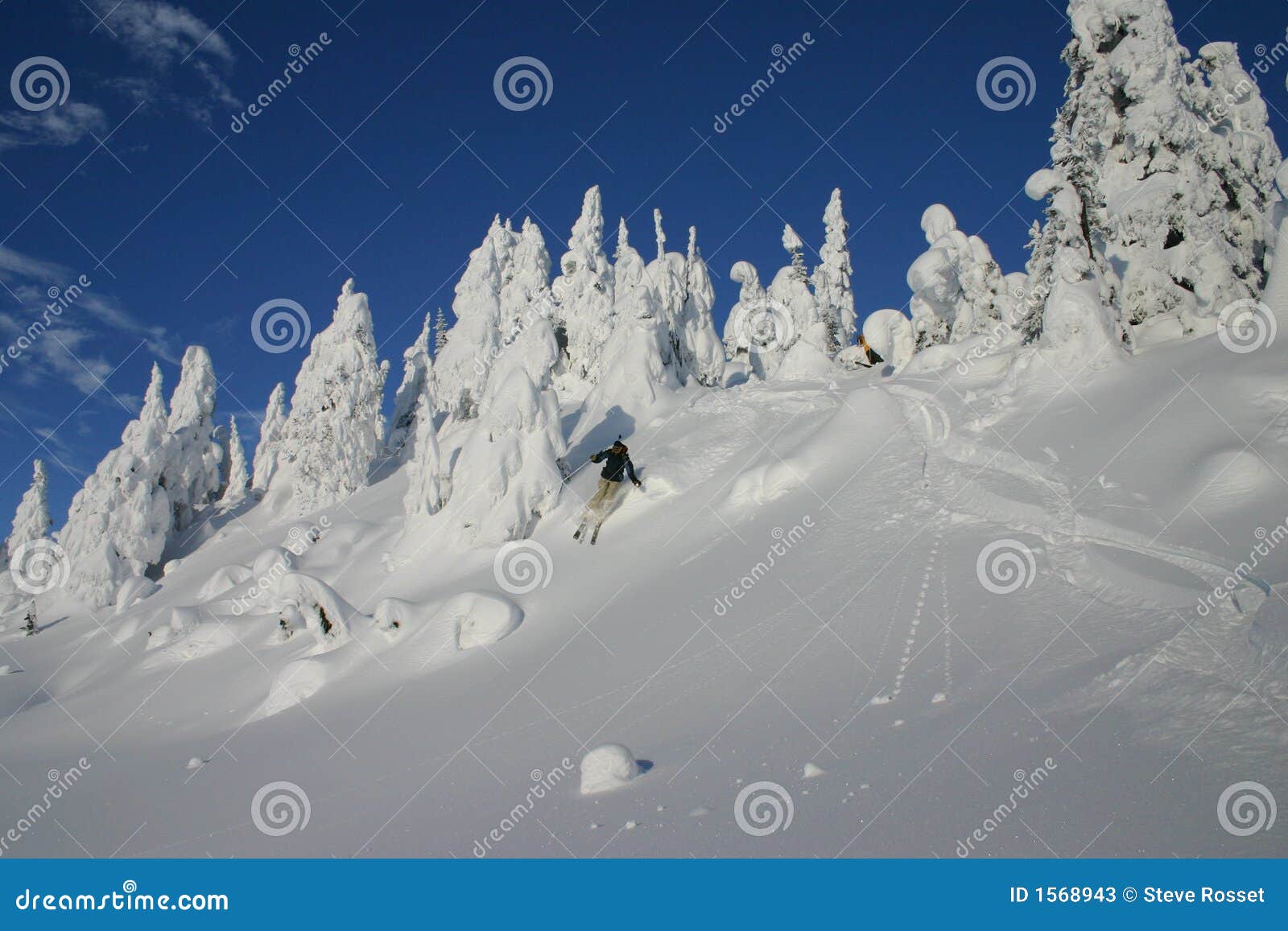 Jumping in the Snow stock image. Image of country, outdoors - 1568943