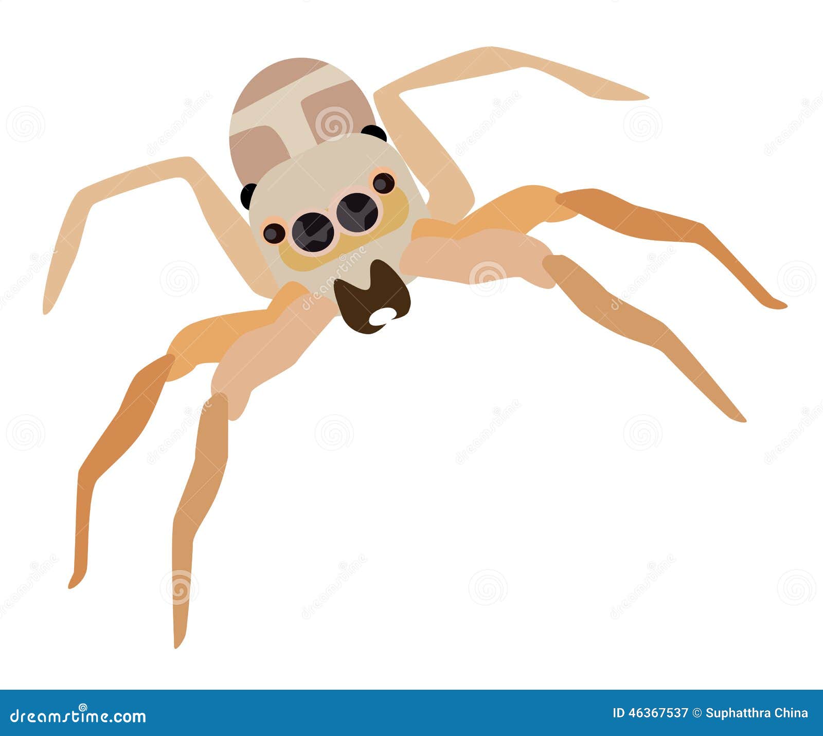 Jumping Spider stock vector. Illustration of small, wildlife - 46367537
