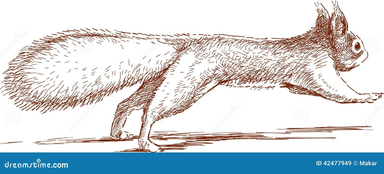 Jumping squirrel stock vector. Illustration of drawn - 42477949