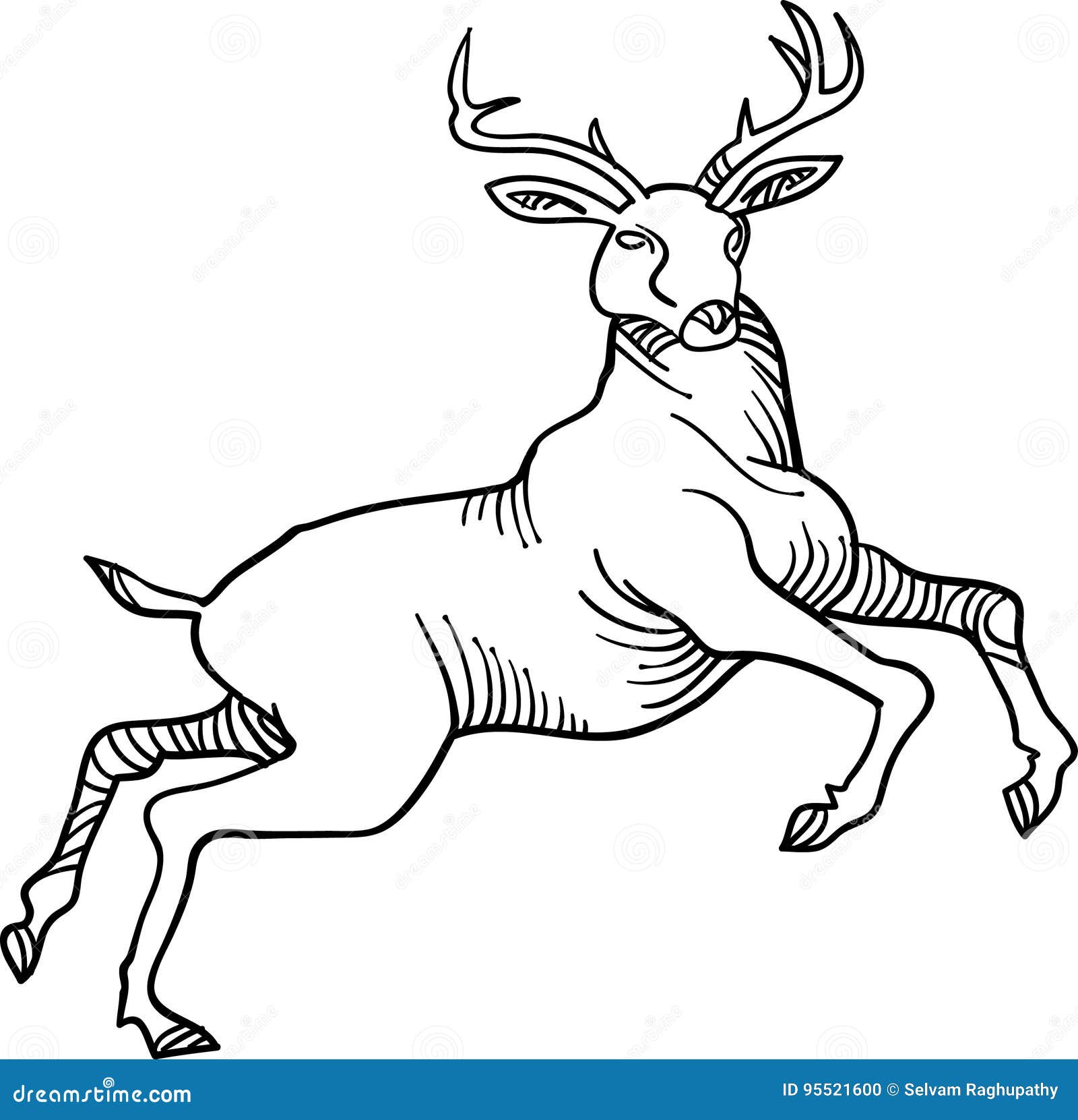 Leaping Stag Drawing