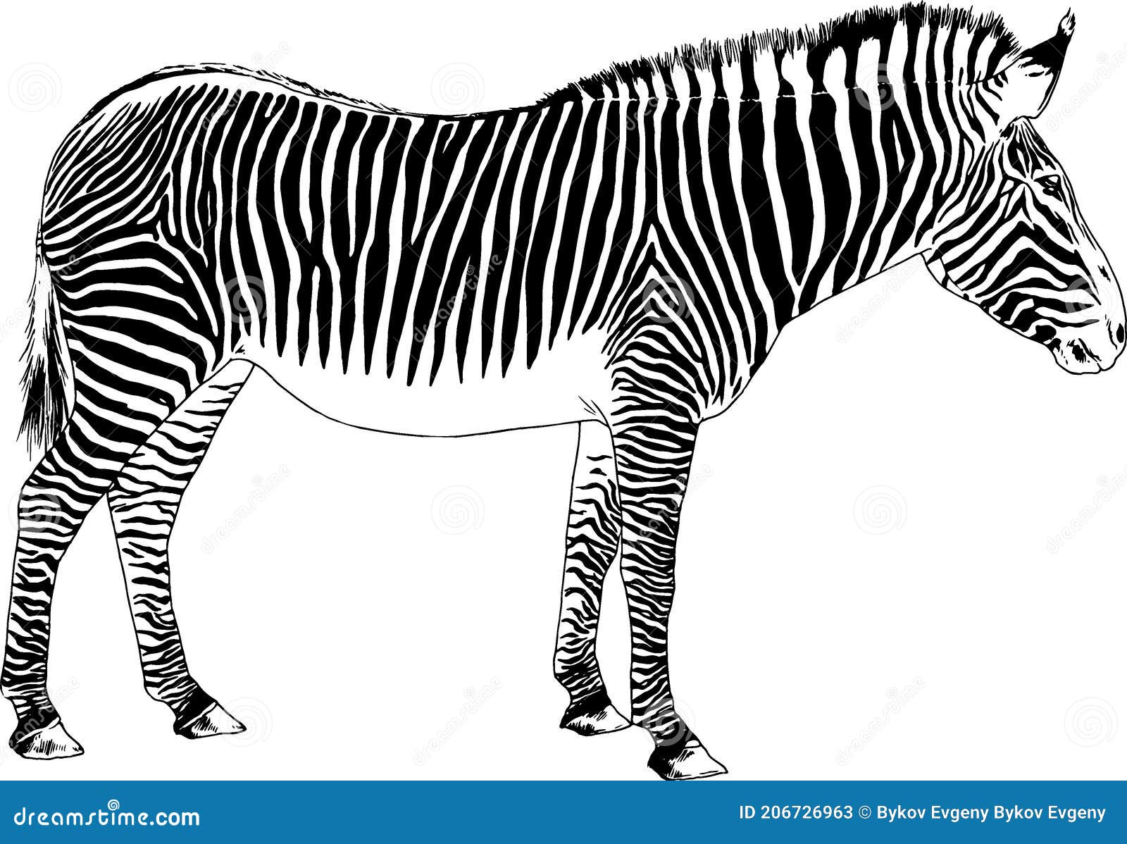 Zebra Hand In Mouth: Snicker Emoji Art By Jon Klassen Stock Photography ...