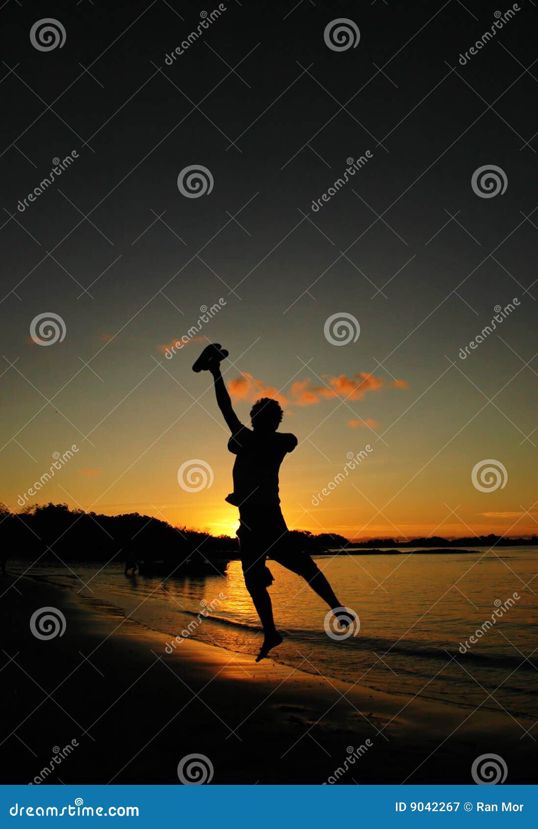 Jumping at Sunset stock image. Image of galapagos, high - 9042267