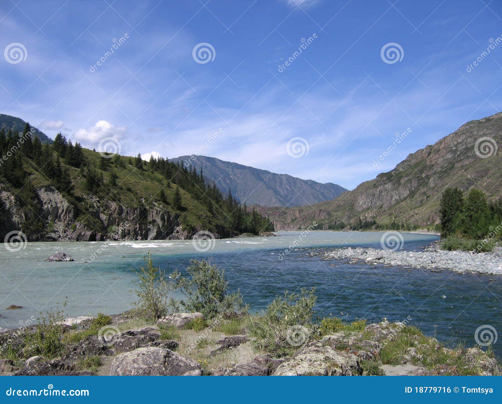 Junction of Two Rivers, Altai Stock Photo - Image of nature, mountain ...