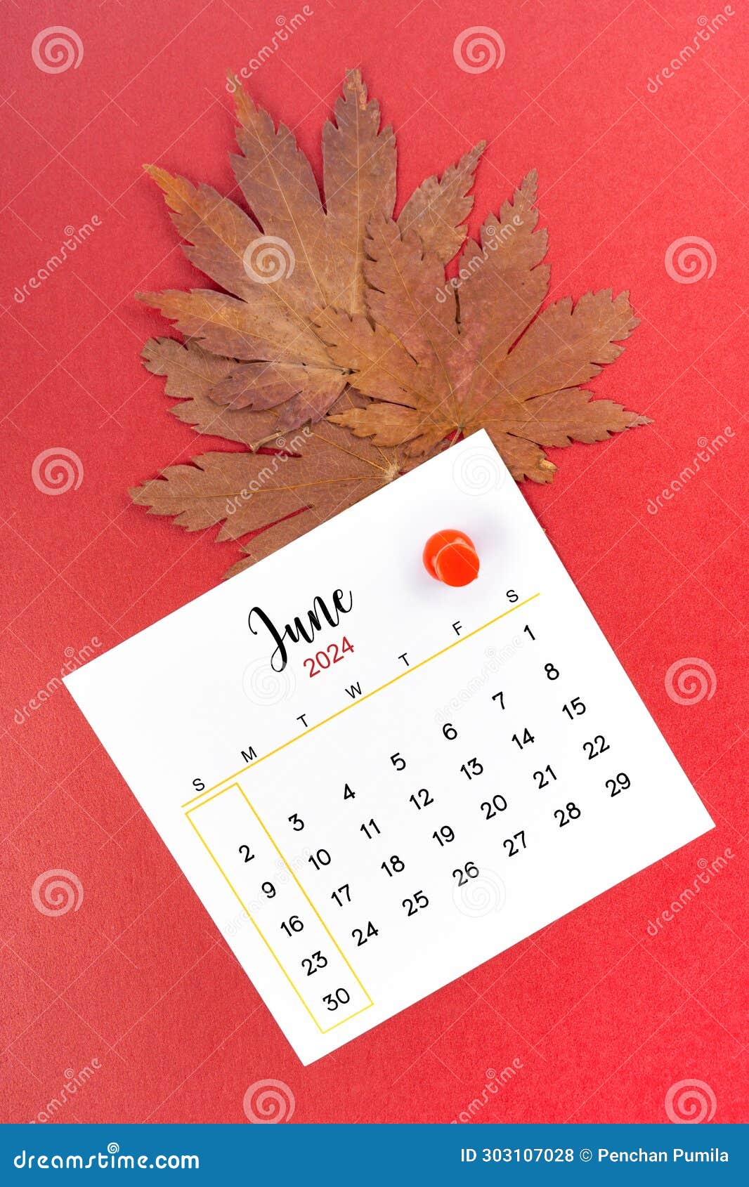 June 2024 Calendar Page and Autumn Maple Leaf with Thumbtack Stock ...