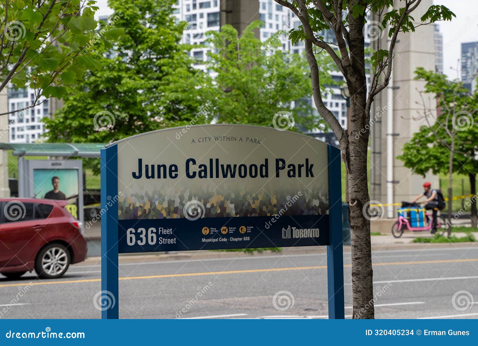 June Callwood Park sign. editorial stock image. Image of nature - 320405234
