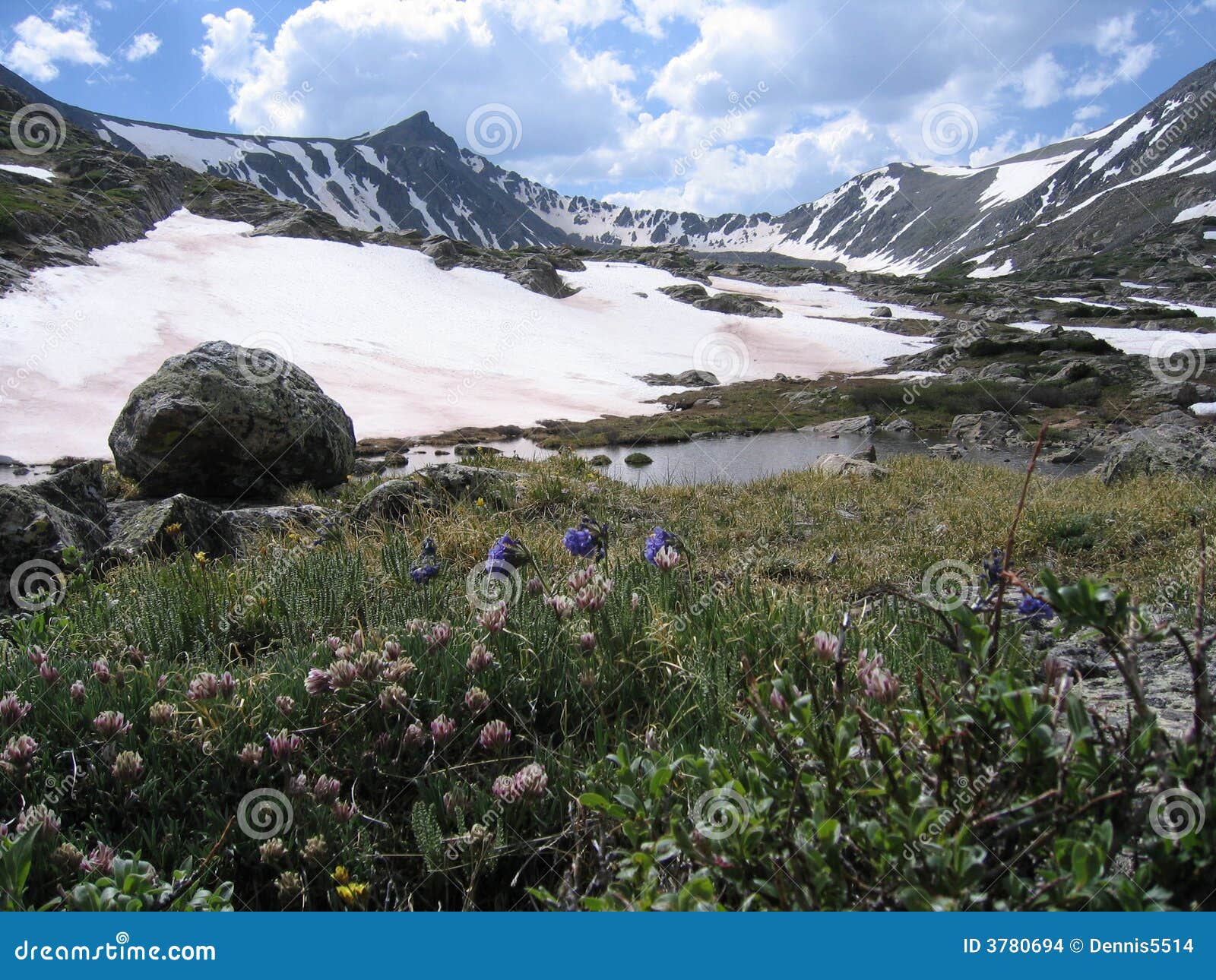 June in Colorado stock photo. Image of mountains, summit - 3780694