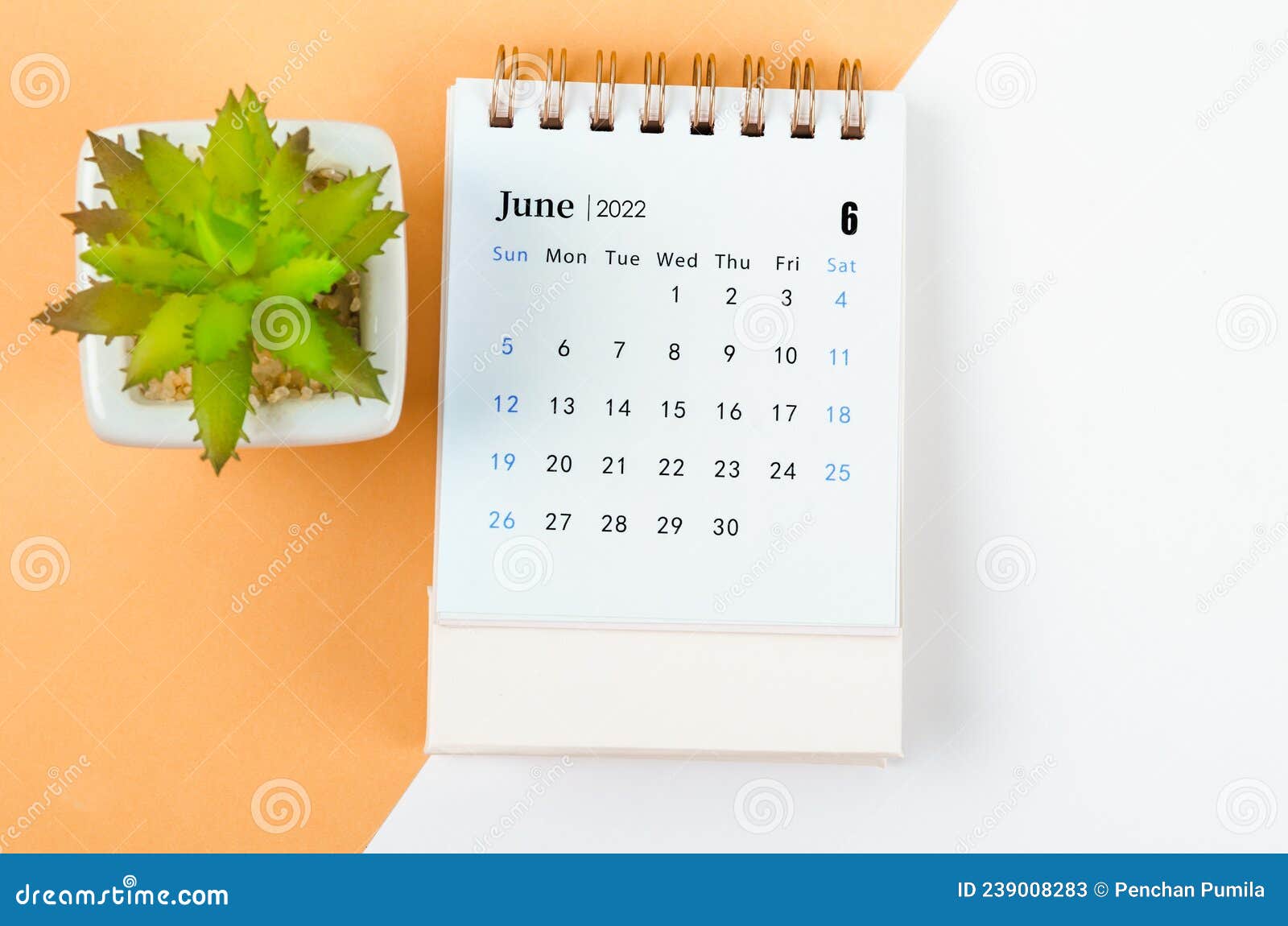 June 2022 Desk Calendar with Tree Pot Stock Image - Image of holiday ...