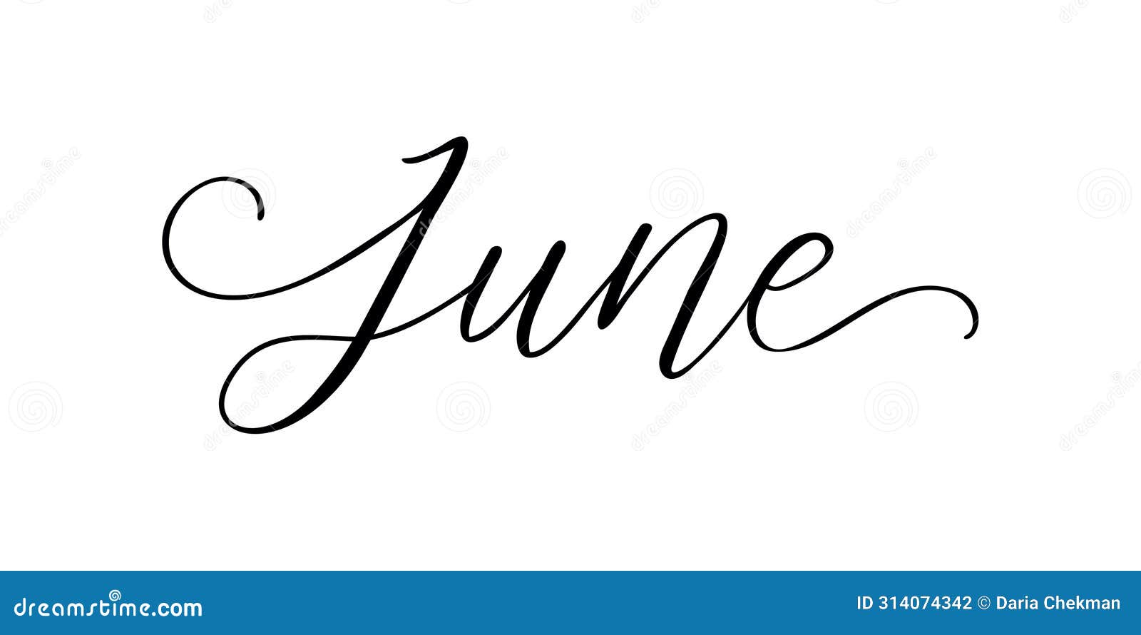 June - Handwritten Text in Calligraphic Style on a White Background ...
