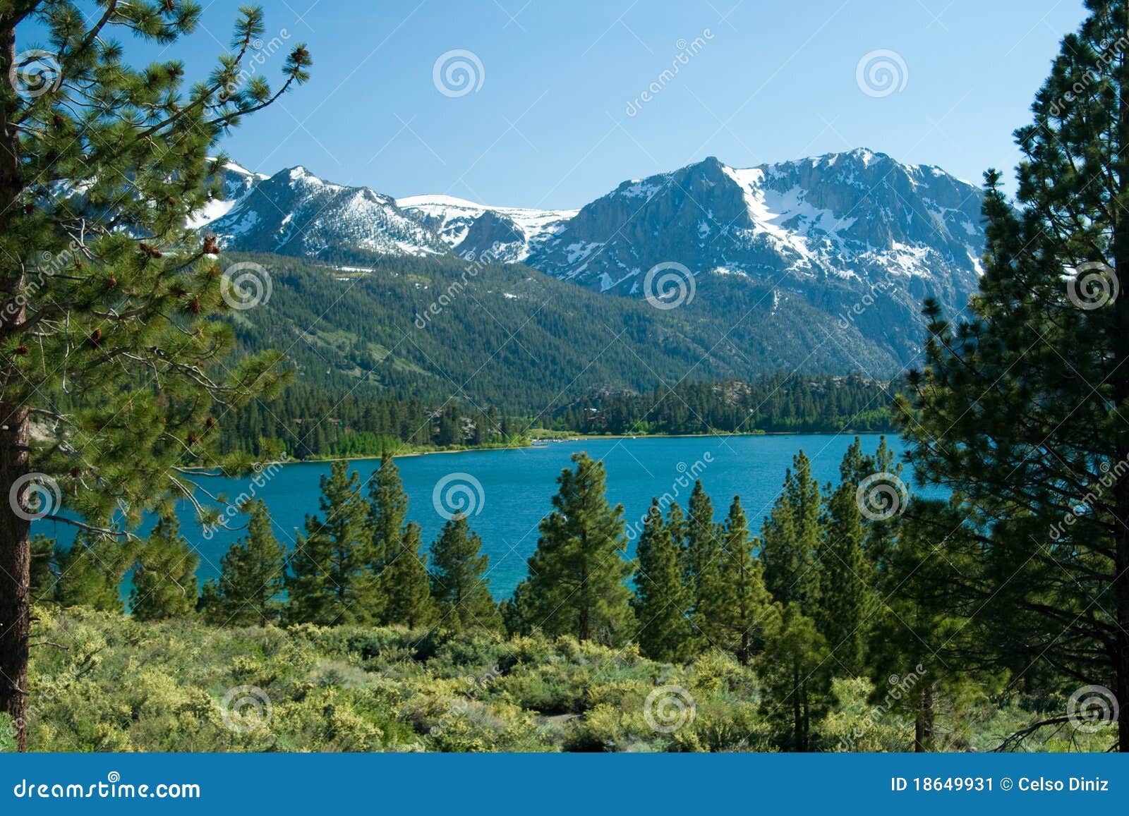 June Lake Loop stock image. Image of clean, loop, forest - 18649931