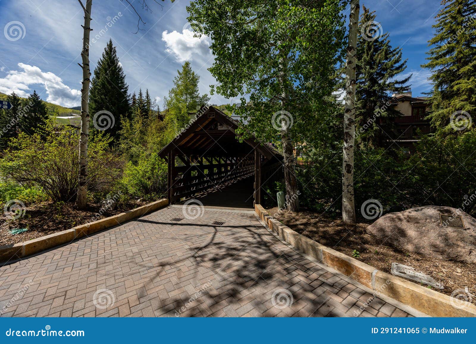 June 5th in Vail stock image. Image of flower, trail - 291241065