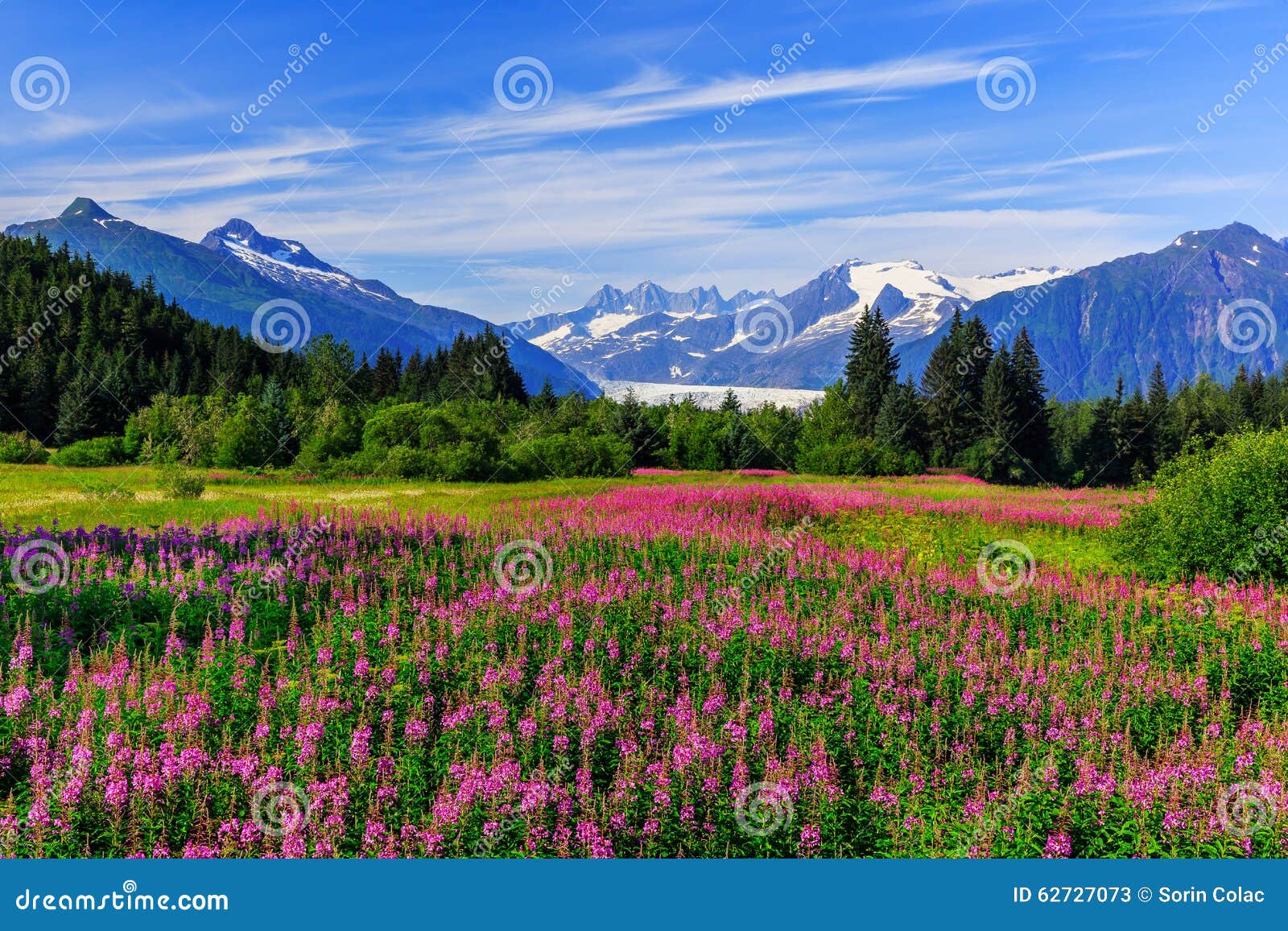 Juneau, Alaska: Glacier Gardens Is A Rainforest Botanical Garden In The ...