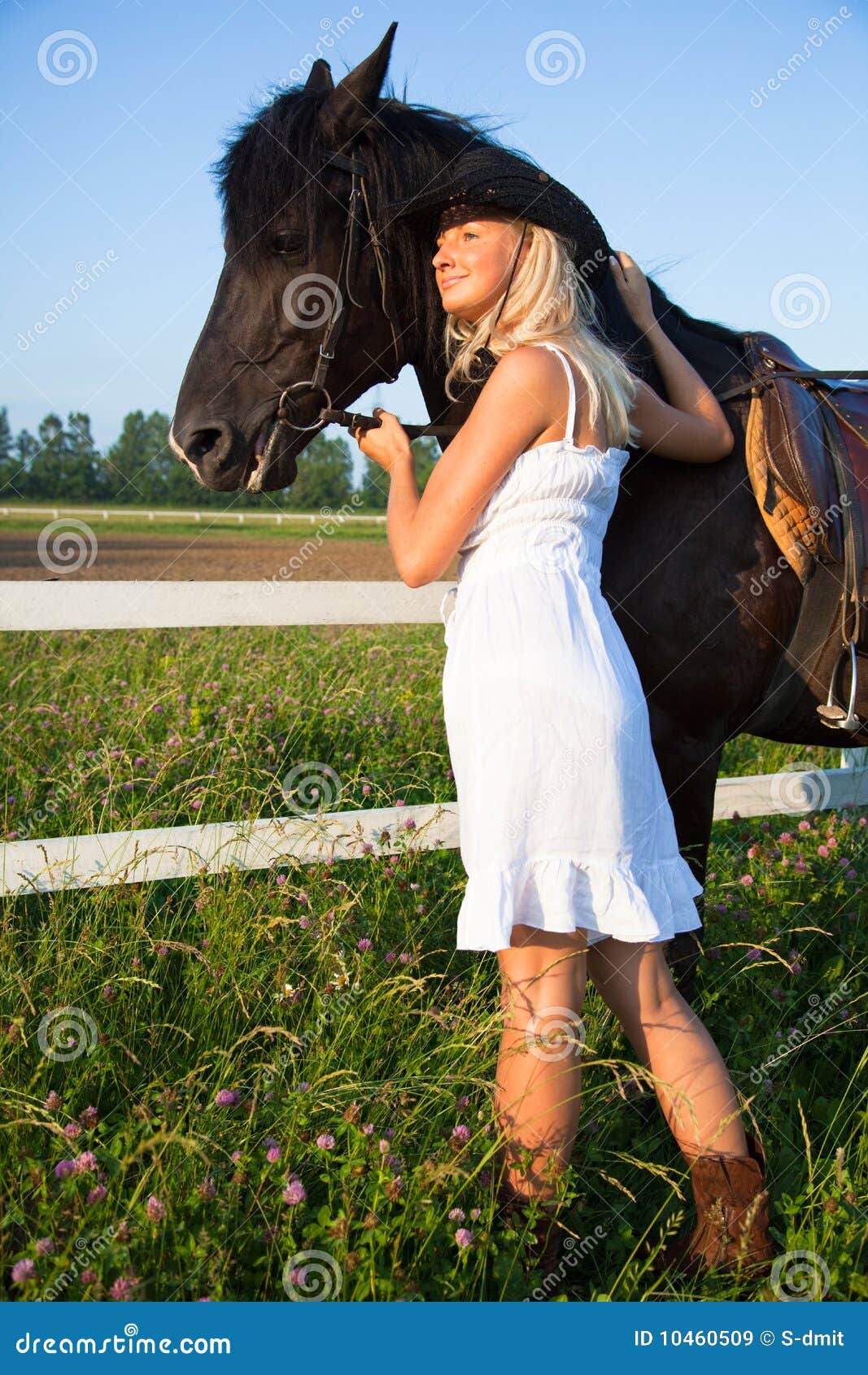 Junge Blonde Frau Mit Pferd Stockbild - Bild von amerika, städtisch ... Junge Blonde Frau Mit Pferd Stockbild - Bild von amerika, städtisch ...